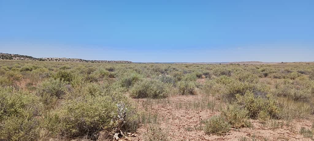 !! NEW !! LIMITED ONLY BY YOUR IMAGINATION! - Build Your Portfolio and ...